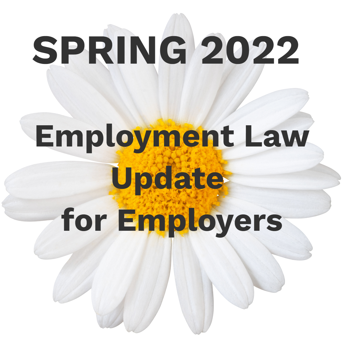 Spring 2022 - Employment law update for employers - Richard Reed Solicitors