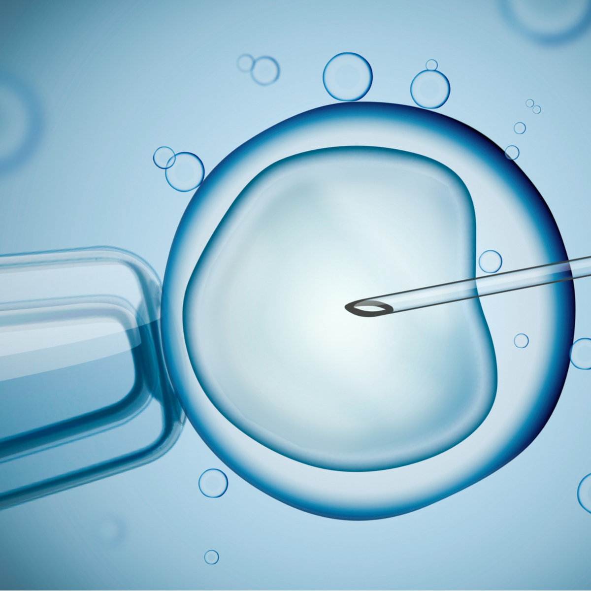 Parental responsibility and assisted conception via IVF or a donor ...